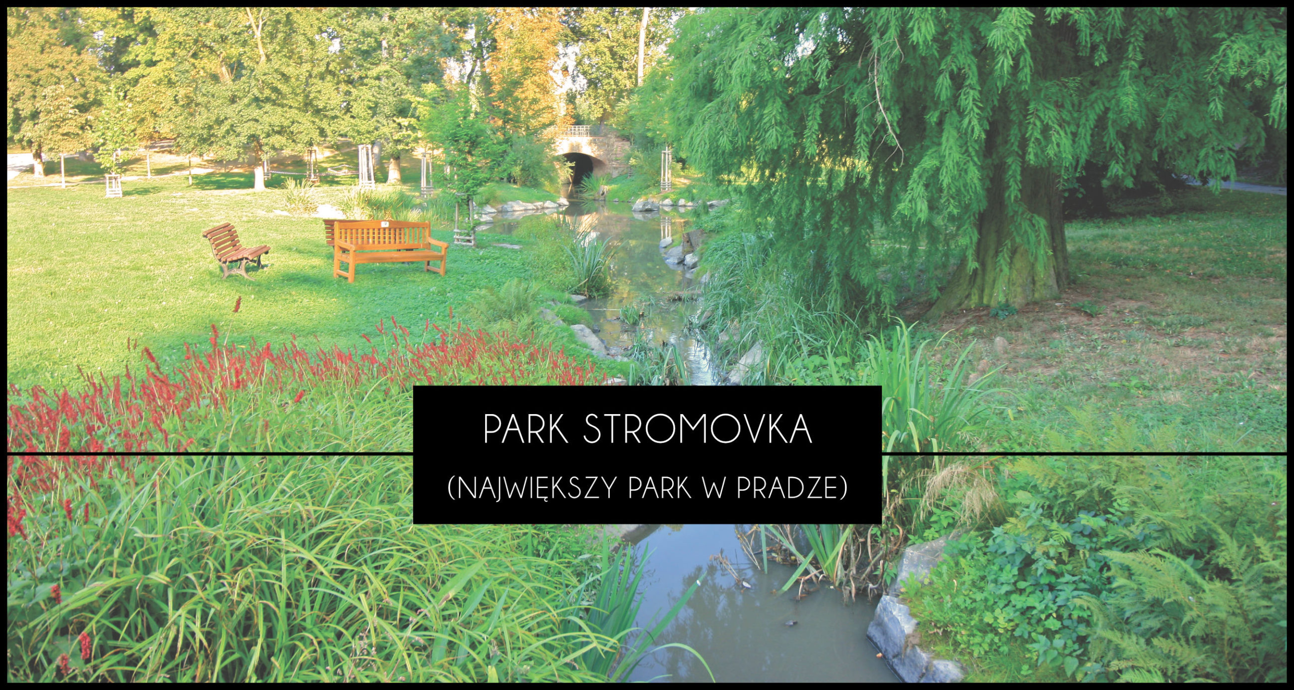 Największy park w Pradze - Stromovka! - ArchiTrav.pl